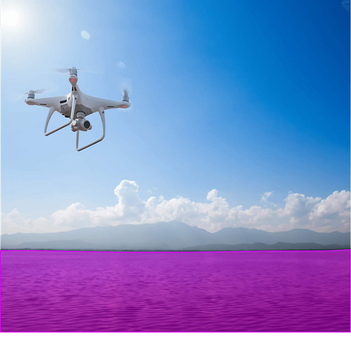 Remote Sensing Object Segmentation Dataset Ai Data Collection Company