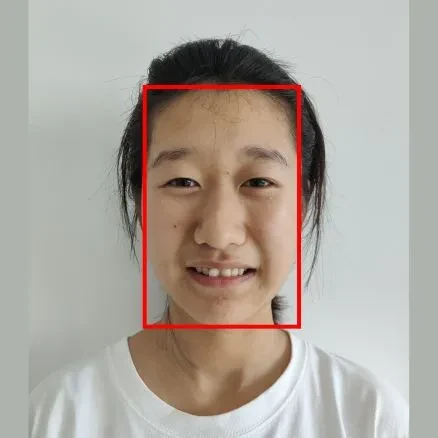 Animal Species Image Dataset: A Comprehensive Resource