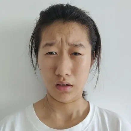 Animal Species Image Dataset: A Comprehensive Resource