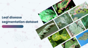 Leaf Disease Segmentation Dataset | AI Data Collection