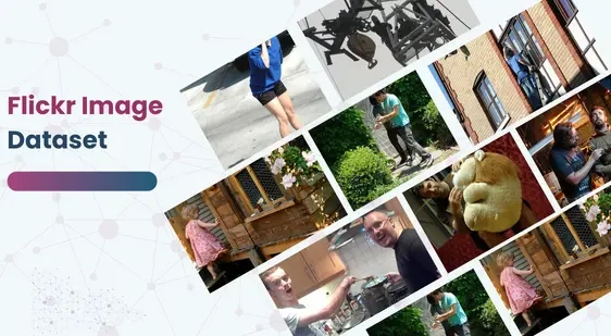 Flickr Image Dataset Essential Data Collection for Research