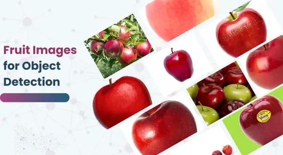 Fruit Images For Object Detection