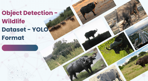 Wildlife Dataset Object Detection Yolo Format