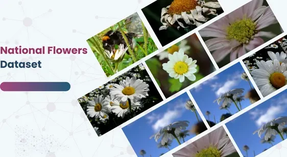 National Flowers Dataset