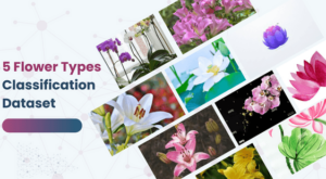 5 Flower Types Classification Dataset | AI Training Data