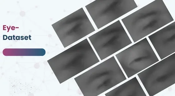 Eye Data Collection Comprehensive Dataset For Eye Tracking