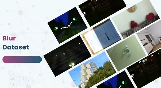 Blur Dataset