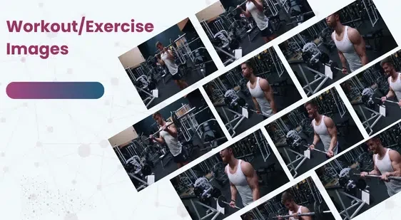 Workout/Exercise Images Dataset - Collection for Fitness AI Models