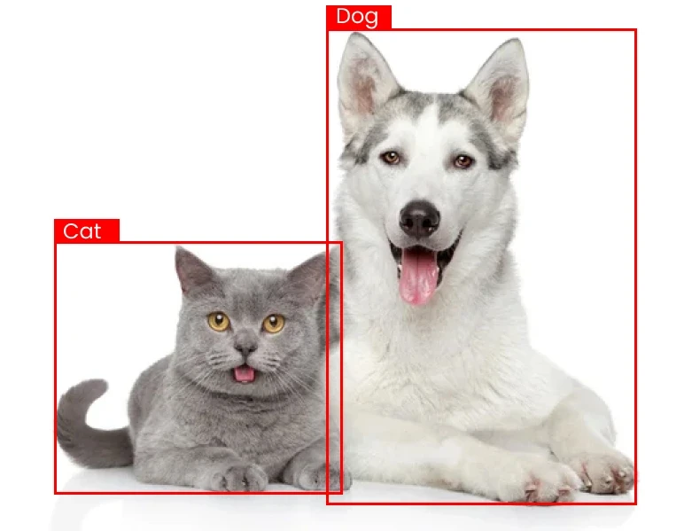 Bounding Box Annotation Services - Precision Labeling for AI Bounding Box Annotation Services - Precision Labeling for AI