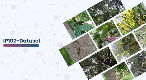 IP102-Dataset | AI Data Collection