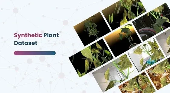 Synthetic Plant Dataset