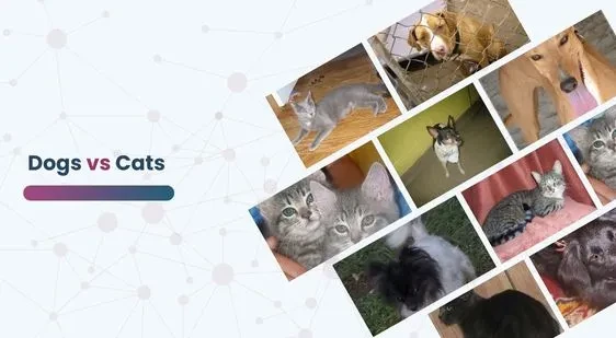 Dogs vs Cats Dataset | Download for ML Training