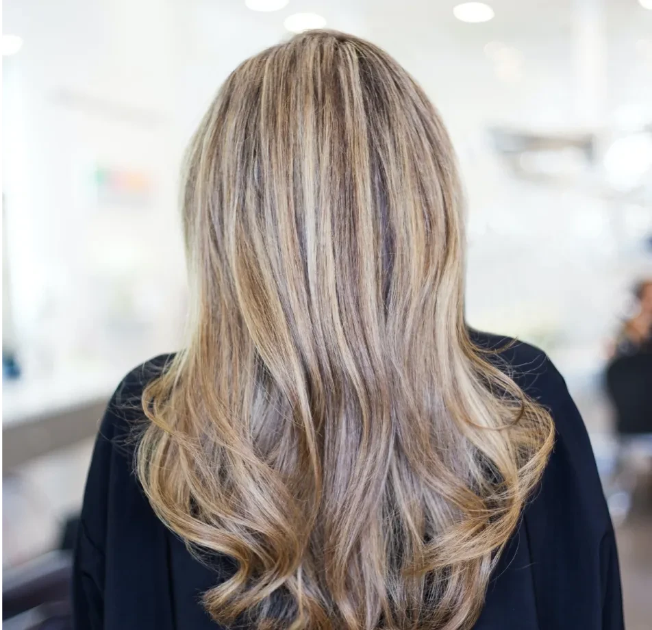 Hair Semantic Segmentation: In-depth Dataset Overview