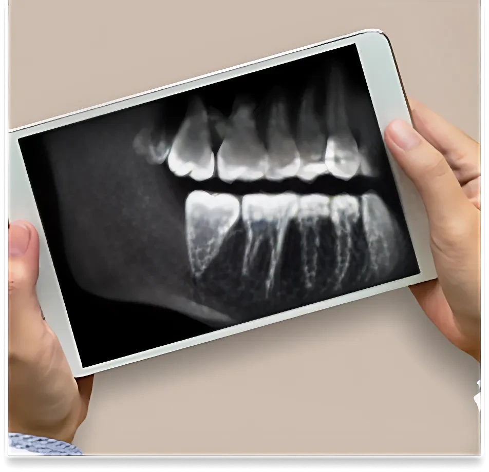 Comprehensive X-Ray Image Dataset