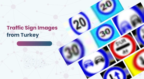 Traffic Sign Images from Turkey: A Comprehensive Dataset