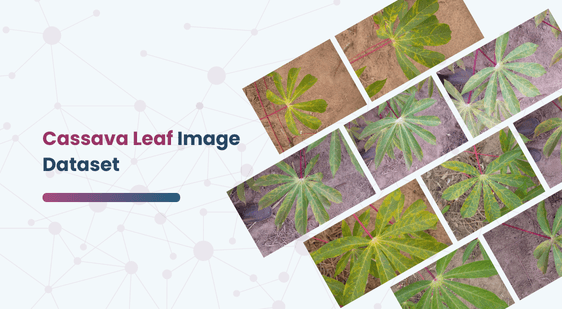 Cassava Leaf Image Dataset For Disease Detection