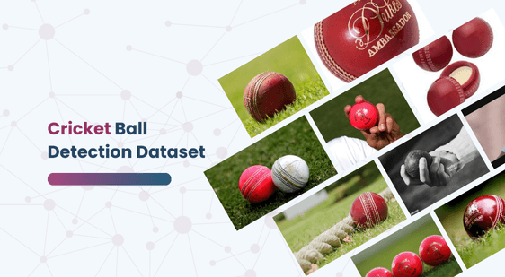 Cricket Ball Detection Dataset For Yolov8 Enhance Ai Models