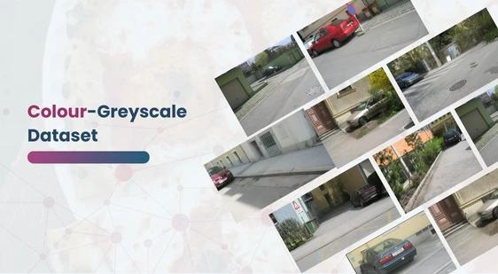 Deep Learning Color Grading Dataset for Cars and Flowers