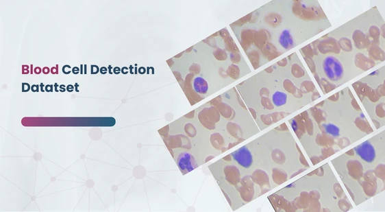 High-Resolution Blood Cell Classification Dataset for ML