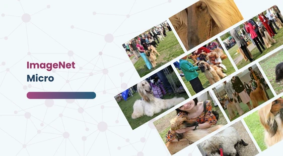 ImageNet Micro: Small ImageNet Dataset with 999 Curated