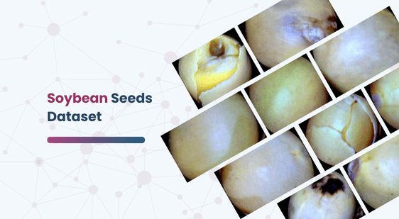 Soybean Seeds Dataset for ML and Agricultural Research