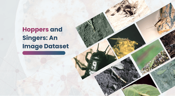 Hoppers and Singers: Comprehensive Orthoptera Image Dataset