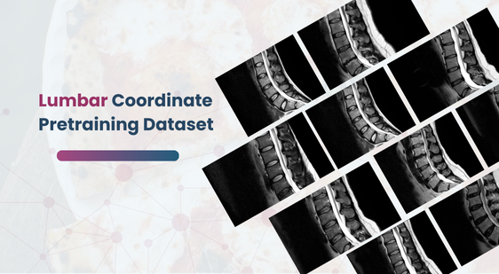 Lumbar Coordinate Pretraining Dataset - RSNA 2024