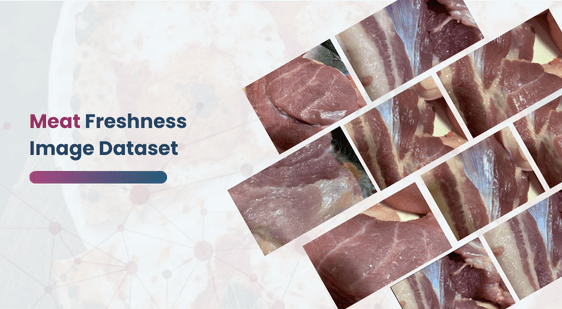 Meat Freshness Image Dataset: AI Training Data for Fresh Meat