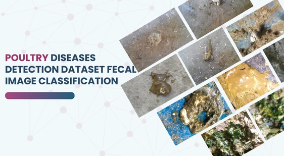 Poultry Diseases Detection Dataset | Fecal Image Classification Poultry Diseases Detection Dataset | Fecal Image Classification