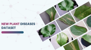 New Plant Diseases Dataset: 87K Images for ML & Research