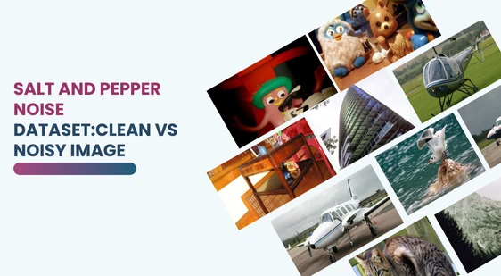 Salt and Pepper Noise Dataset for Image Denoising and Research
