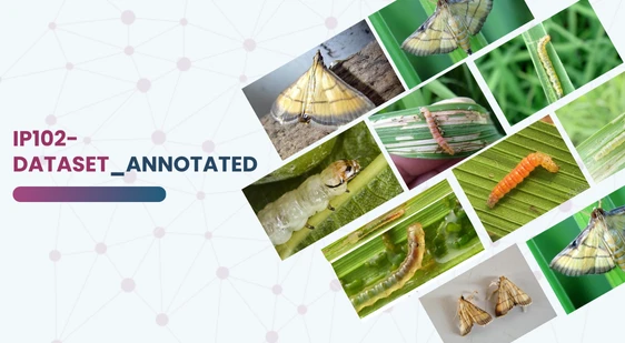 Ip102 Dataset Annotated Insect Pest Recognition For Agricultural
