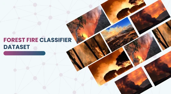 Forest Fire Classifier Dataset: Aerial and Terrestrial Images