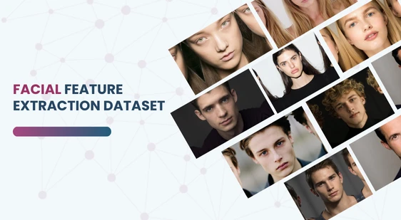 Facial Feature Extraction Dataset High Quality Labeled Data